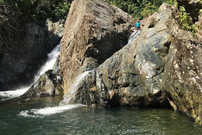 Half-Day Yunque Rainforest Waterslide & rope swing Guided Tour - Exploring the Half-Day Yunque Rainforest Waterslide & Rope Swing Guided Tour
