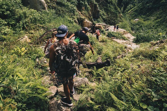 Half-Day Yunque Rainforest Waterslide & rope swing Guided Tour - Key Points