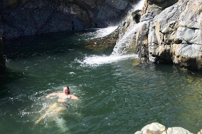 Half-Day Yunque Rainforest Waterslide & rope swing Guided Tour - Who Should Book This Tour?