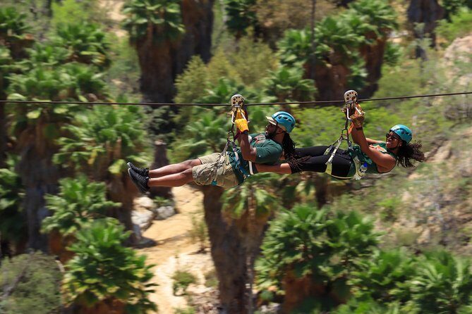Half-Day Zip Line Adventure in Los Cabos - What to Expect from the Zip Line Adventure