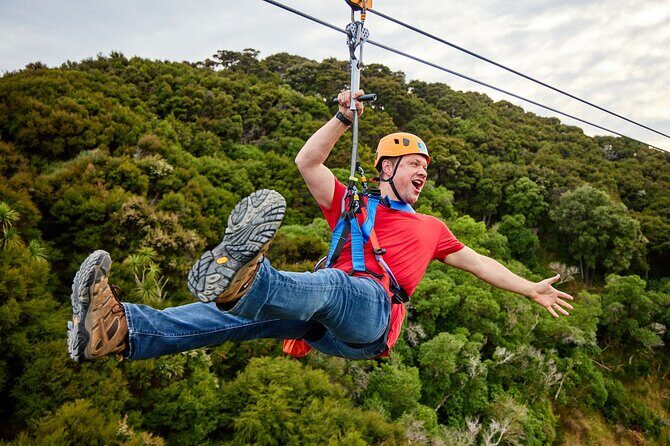 Half Day Zipline Adventure in Kaikoura - Final Thoughts: Is This Adventure for You?