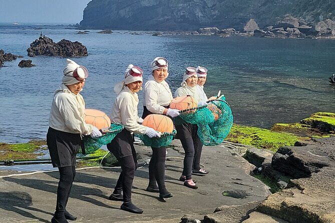 Half or Day Tour For Cruise customers arriving at Gangjeong Port - FAQs