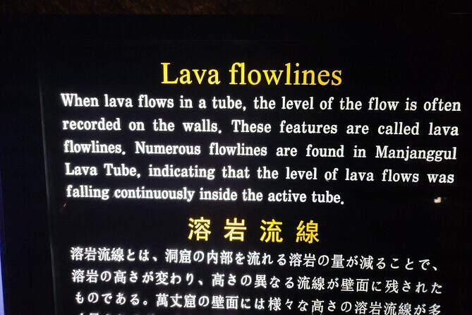 Half or Day Tour For Cruise customers arriving at Jeju City Port - The Sum Up