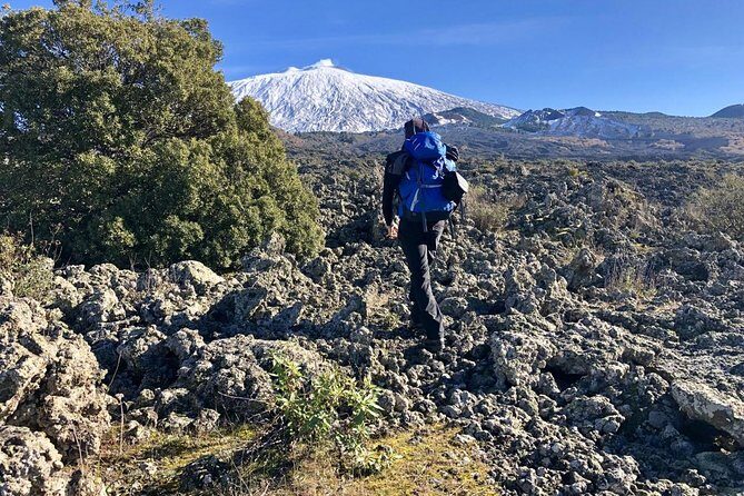 Half or full day trekking on Etna with private guide - Travel logistics and value