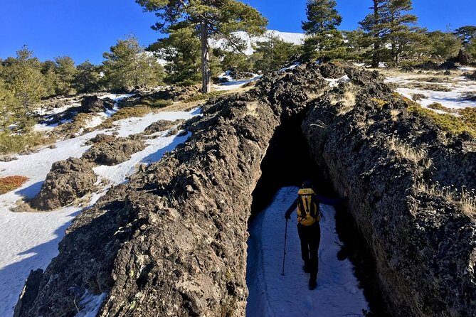 Half or full day trekking on Etna with private guide - The Sum Up: Who Will Love This Experience?