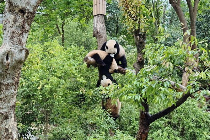 Half Private Day Chinese Bamboo Weaving Exprience - The Final Word