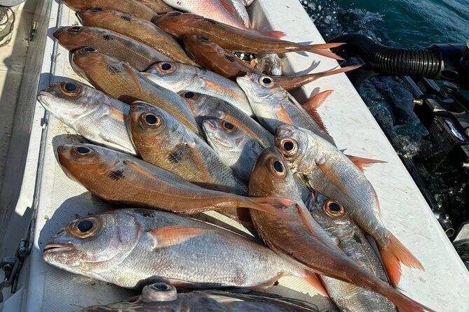 Half-seabed or rod fishing tour with bolentino - A Look at the Itinerary