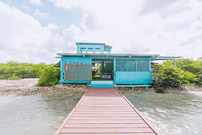 HalfDay Private Snorkel & Mangrove Experience  Local Host - An In-Depth Look at the Experience