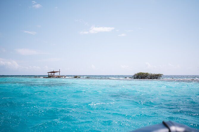 HalfDay Private Snorkel & Mangrove Experience  Local Host - Practical Details and Considerations