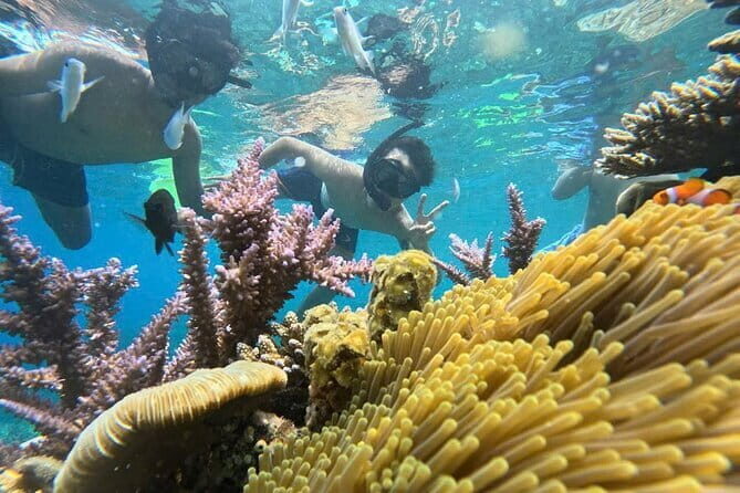 Halfday Snorkeling and Scuba Diving Experience from Nha Trang - A Closer Look at the Experience