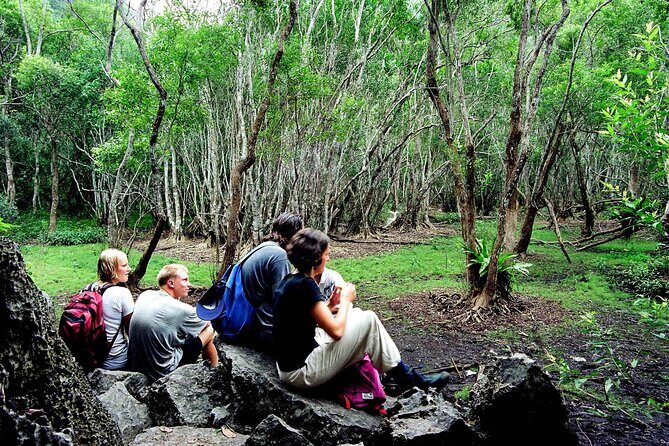Halfday trekking Cat Ba Butterfly valley (more intense) - Authenticity and Expert Guidance