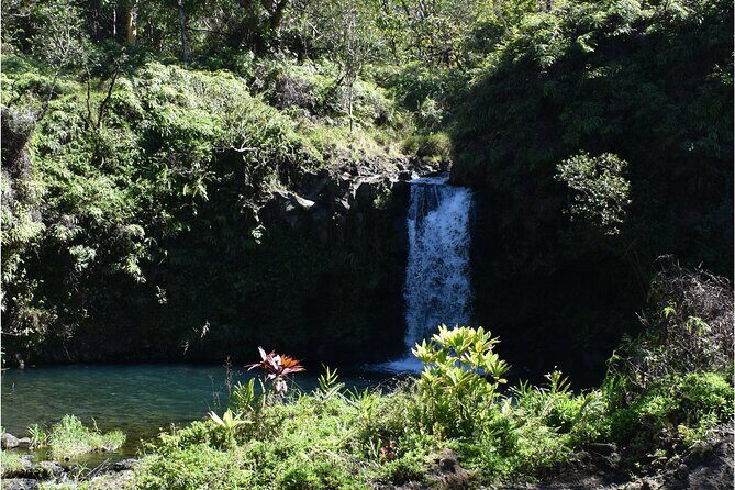 Halfway to Hana Sightseeing Adventure - Who Should Consider This Tour?