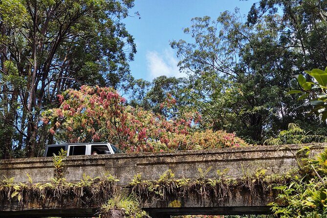 Halfway to Hana Tour of Maui Black Sand Beach Waterfalls Turtles - Is This Tour Right for You?