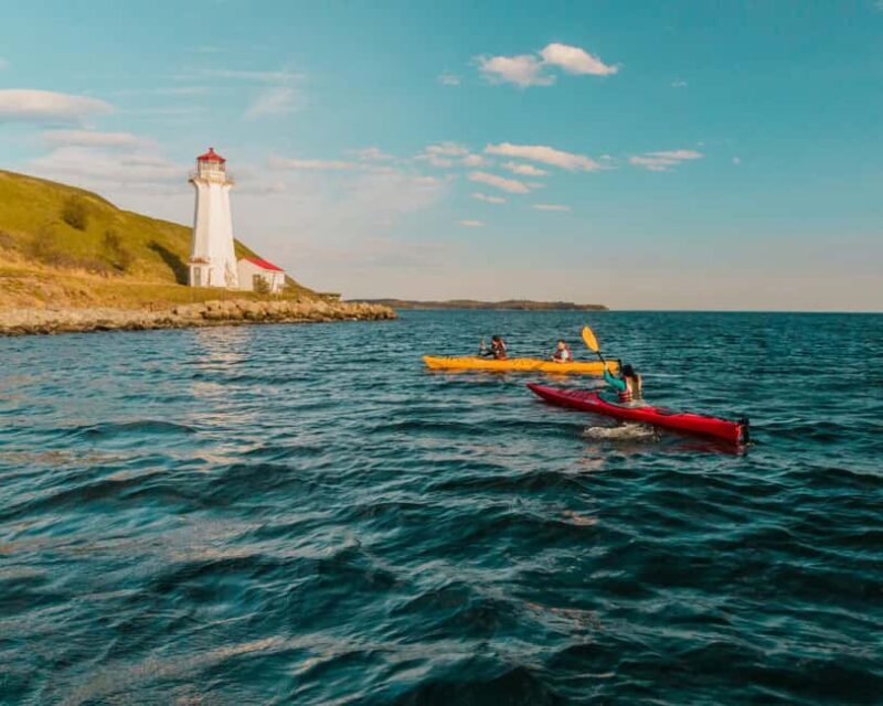 Halifax: Guided Kayak Tour with Multiple Options - Key Points