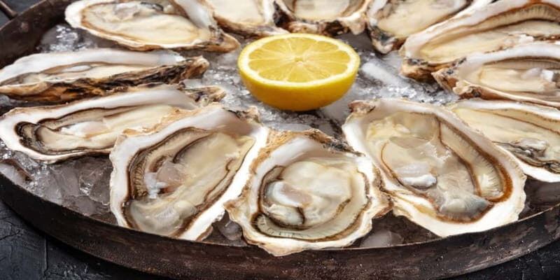 Halifax Harbourfront Food Walking Tour - Key Points