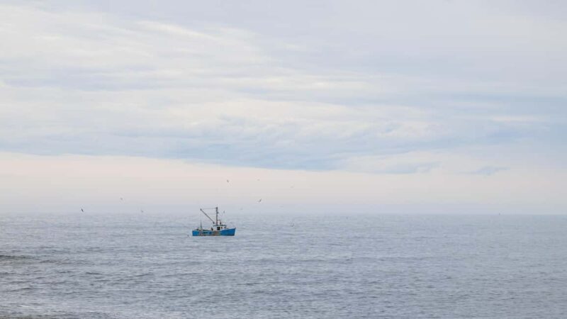 Halifax Small-Group Express Peggys Cove Tour - Who Is This Tour Best For?