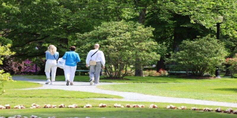 Halifax: Small Group Walking Tour with Citadel & Museum - The Art Gallery & Local Culture