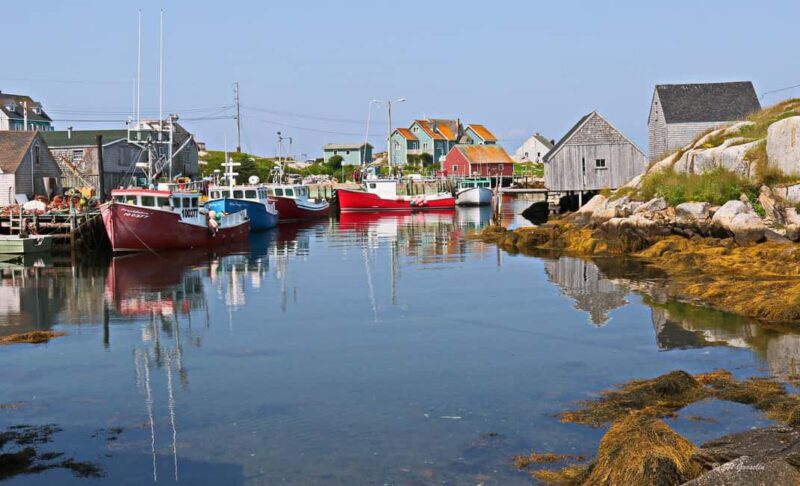 Halifax: South Coast Nova Scotia Private Day Tour - Authentic Insights from Travelers