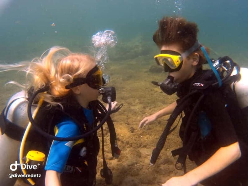 Halkidiki-Kassandra: Scuba Diving for Beginners - The Experience: What Travelers Say