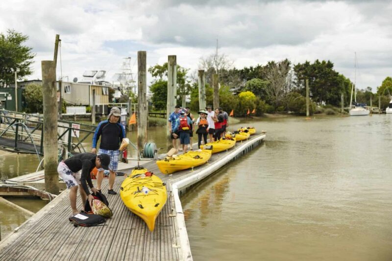 Hallertau Clevedon Kayak Tour - The Scenic Highlights of the Wairoa River