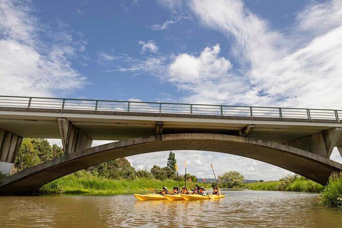 Hallertau Clevedon Kayak Tour - Final Words