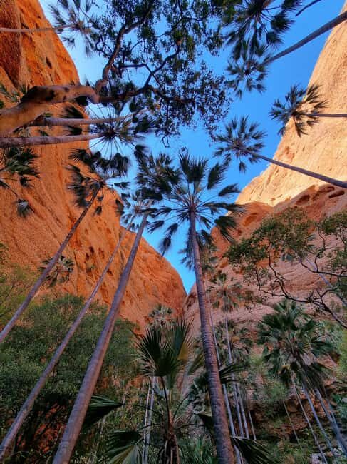 Halls Creek to Bungles: Fly /Drive + Aboriginal local guides - Practical Tips for Travelers