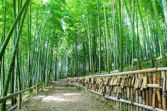 Hallyeo Waterway 4 Days Shared Tour - FAQ