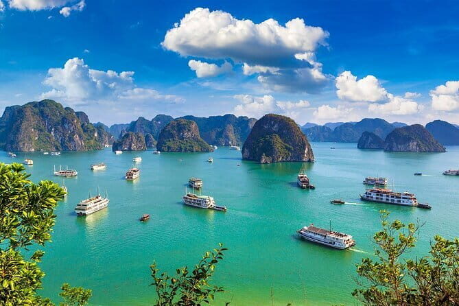 Halong Bay 1 Day Tour Included Limousine Bus Transfer from Hanoi - Final Thoughts: Who Should Book This Tour?