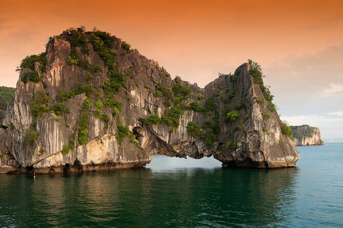 Halong Bay 6 Hours Cruise with Buffet, Sung Sot, Luon Cave, Titop - Who Should Consider This Tour?