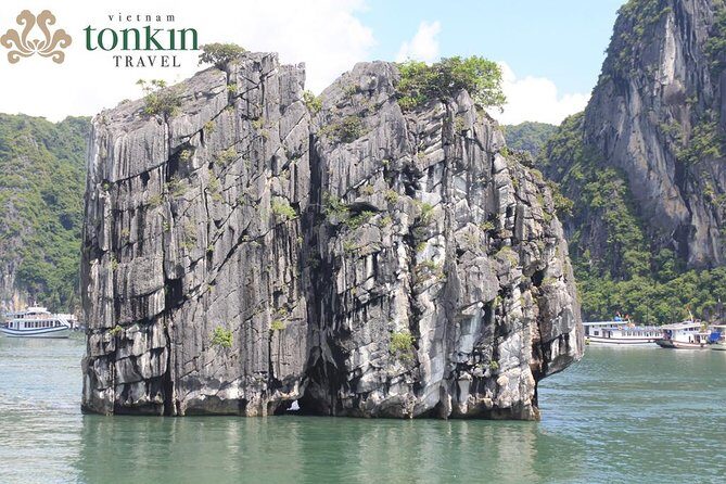 Halong bay Boutique Cruise 2D/1N tour: Kayaking, swimming, Titop island & cave - Key Points