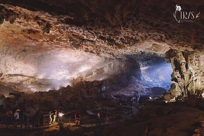 Halong Bay Cruise and Kayaking with Lunch and Music from Hanoi - Final Thoughts