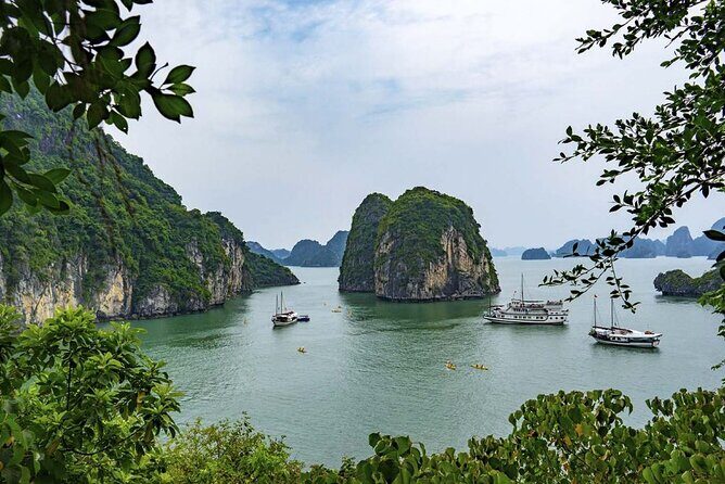 Halong Bay Cruise Full Day Tours - Floating Villages and Local Life