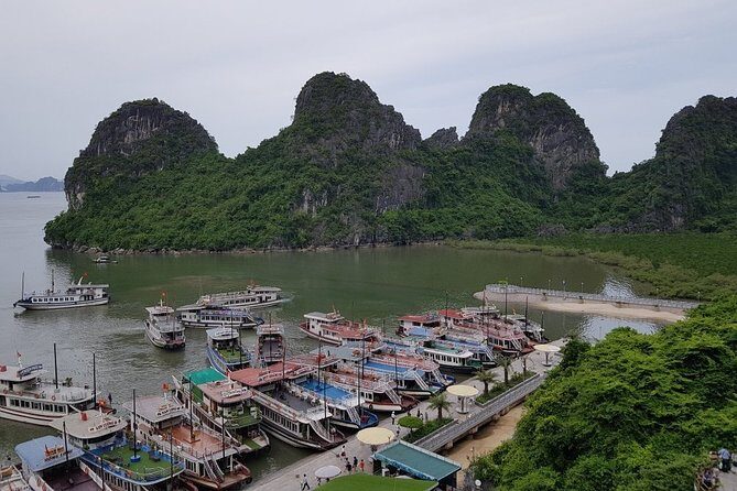 Halong Bay Cruise Tour from Hanoi with Kayak Adventure - A Closer Look at the Itinerary and Experience