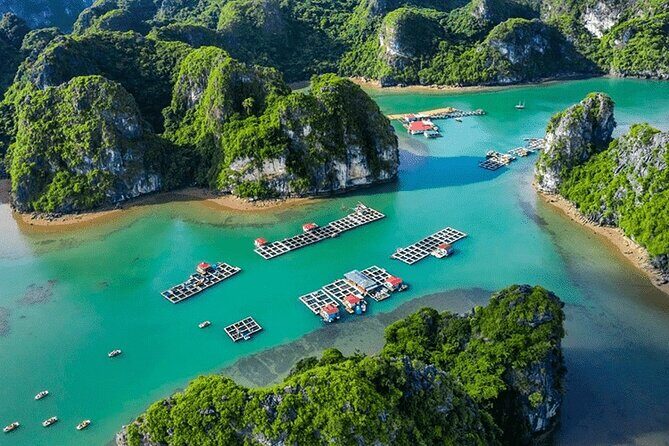 Halong Bay Day Cruise: Discover Thien Cung Cave, Kayaking & Lunch - Who Would Enjoy This Tour?