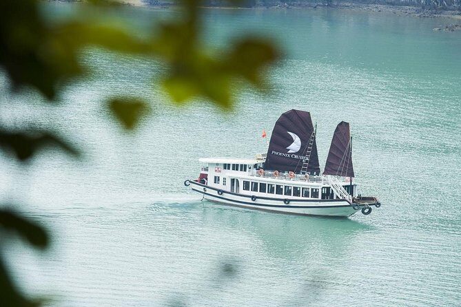 Halong Bay Day Cruise to Sung Sot Cave and Ti Top Island from Hanoi - The Sum Up: Who Will Benefit Most from This Tour?