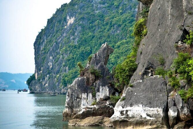 Halong Bay Day Cruise Trip: Thien Cung Cave & Kayaking - Authentic Experiences and Practical Details