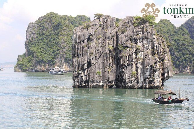 Halong Bay Day Tour: 4 hour cruising, caving, kayaking & lunch - Who Will Enjoy This Tour?