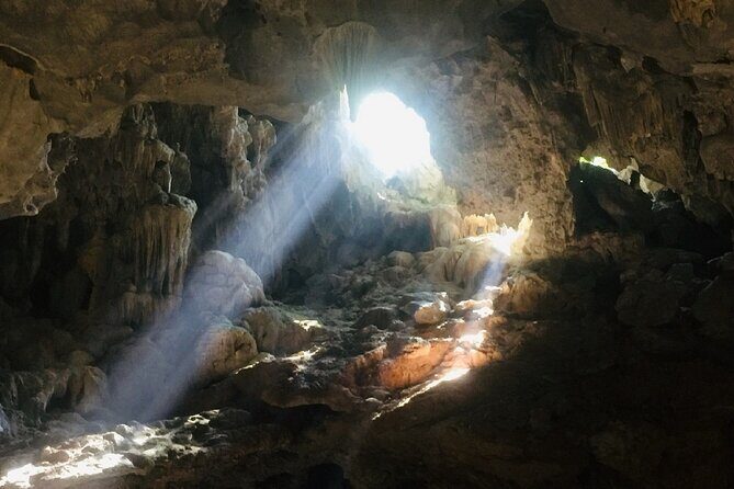 Halong Bay Day Trip 6-Hour Cruise Tour [Round-Trip Highway] With Lunch, Sea Kayak or Bamboo Boat (Row Boat) - Return Journey and Final Thoughts