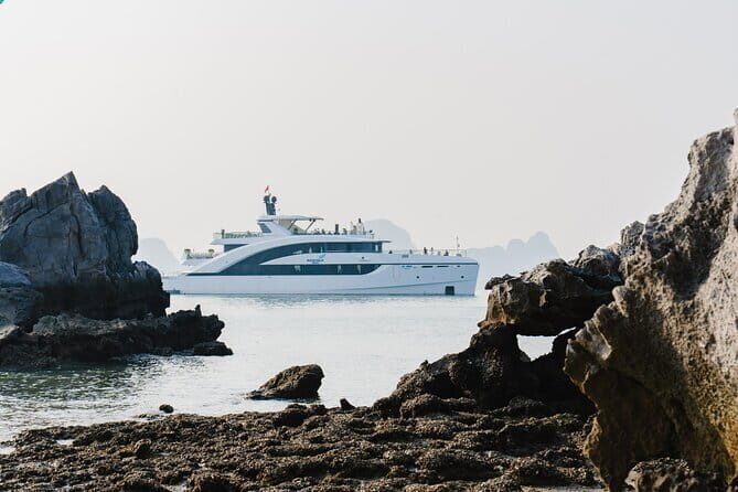 Halong Bay Day Trip Explore Caves, Kayak & Lunch by Saquila Yacht - Analyzing the Value