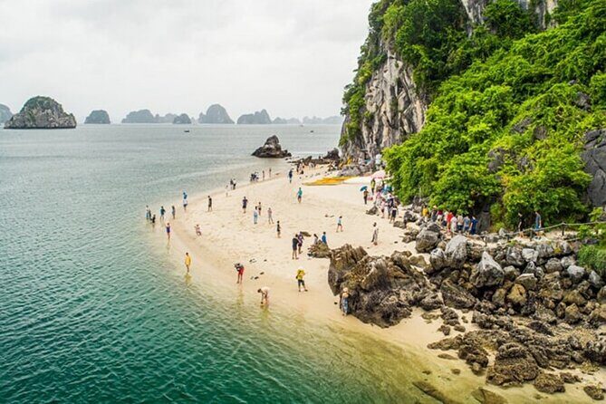 Halong Bay Luxury Day Cruise from Hanoi - Return Journey and Reflection