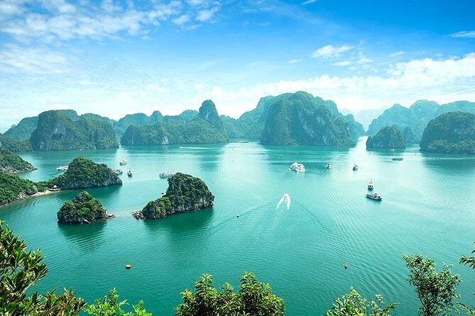 Halong Bay luxury day tour to Sung Sot Cave - A Detailed Look at the Halong Bay Luxury Day Tour