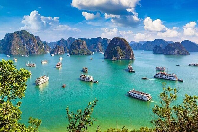 Halong Bay Overnight Cruise with Water Activities - Who will love this tour?