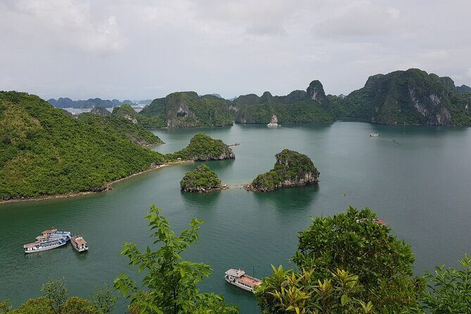 Halong Bay Shore Excursion: Full Day Cruise Tour from Cruise Port - Key Points