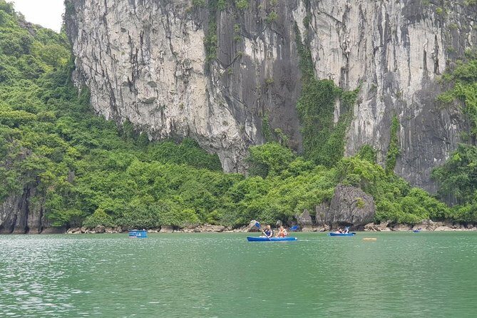 Halong Bay Shore Excursion: Full Day Cruise Tour from Cruise Port - Who Should Consider This Tour?