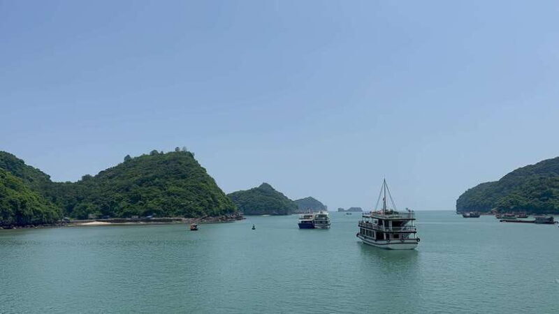 Halong Bay Sightseeing Cruise Full Day Tour With Buffet - An In-Depth Look at the Tour Experience