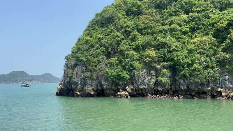Halong Bay Sightseeing Cruise Full Day Tour With Buffet - FAQ