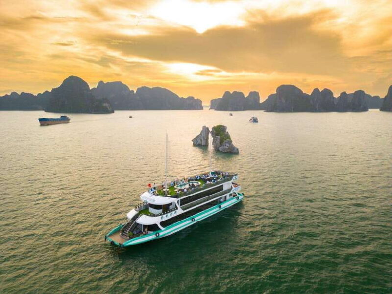 Halong International Port to Halong Bay Discovery Day Tour - The Experience in Detail