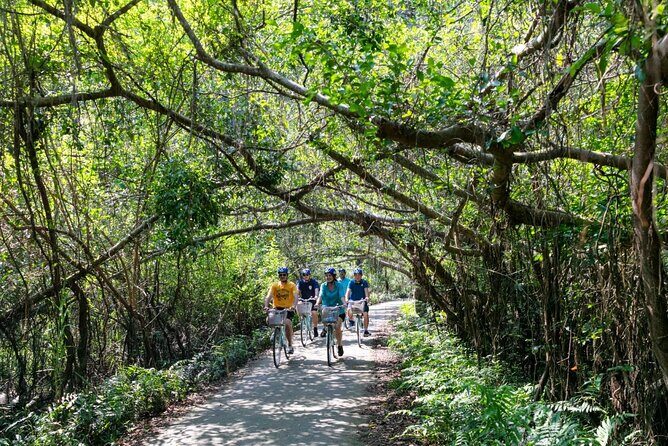Halong Lan Ha Bay 2D1N by Sea Coral Cruise from Tuan Chau Port - Comfort and Service: What to Expect Onboard