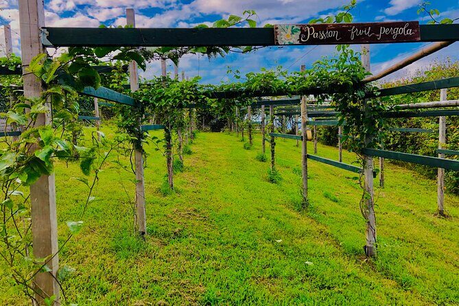Hamakua Coast Farm Small-Group Walking and Tasting Tour - An Invitation to Experience Hawaii’s Farm Life