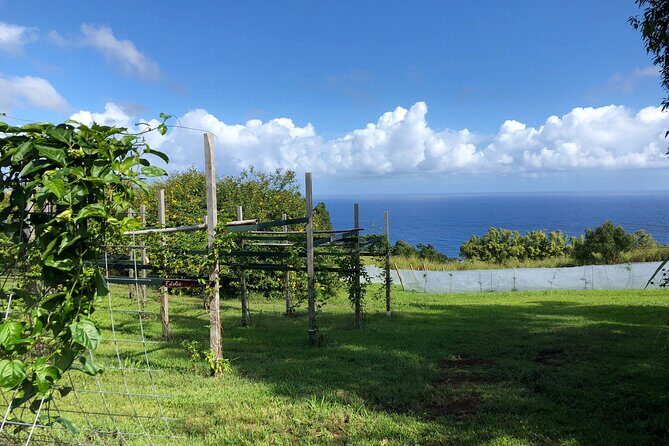 Hamakua Coast Farm Small-Group Walking and Tasting Tour - Practical Details and Value